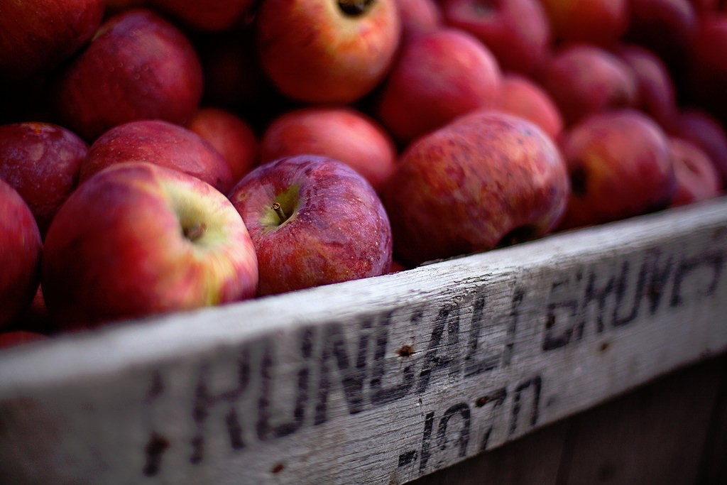 Red apples 682 542 | Jigsaw King